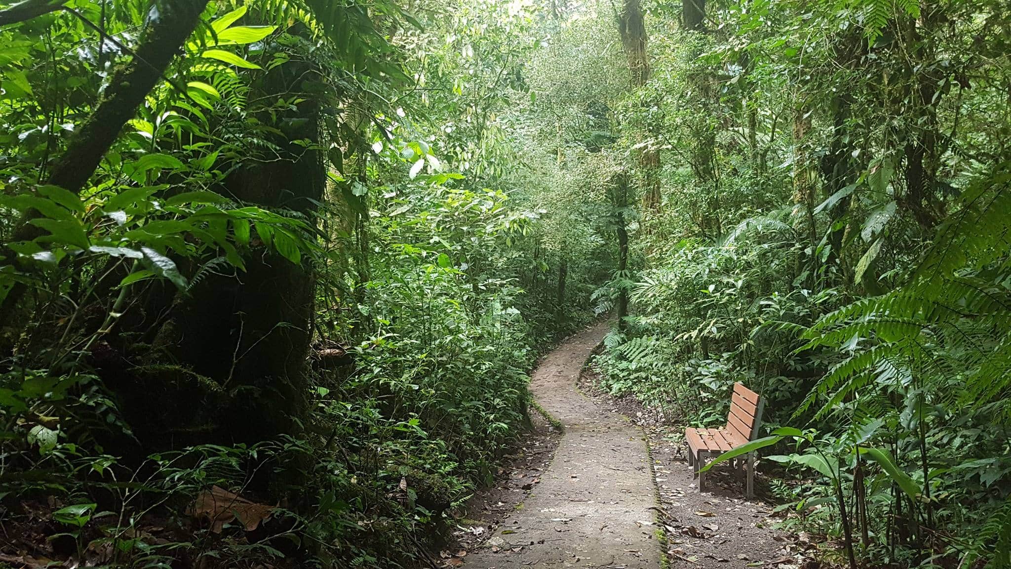 Full Day Trip to Selvatura Park - Book Private Airport Transfer Costa Rica
